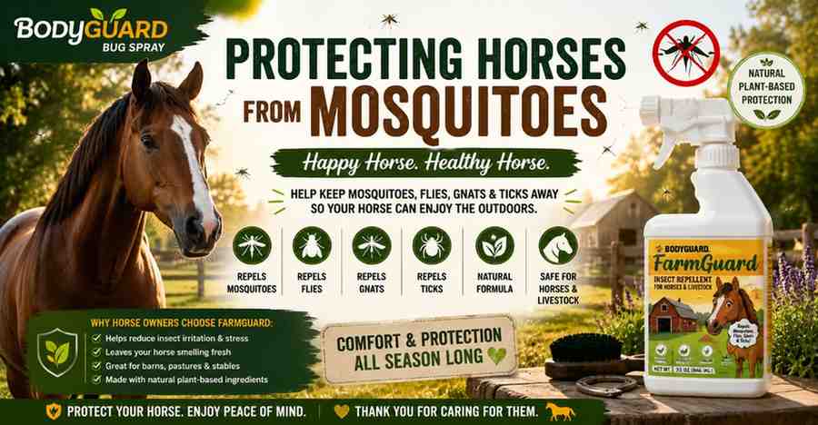 Protecting Horses From Mosquitoes: Tips for a More Comfortable Horse ...